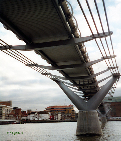 The Millennium Bridge